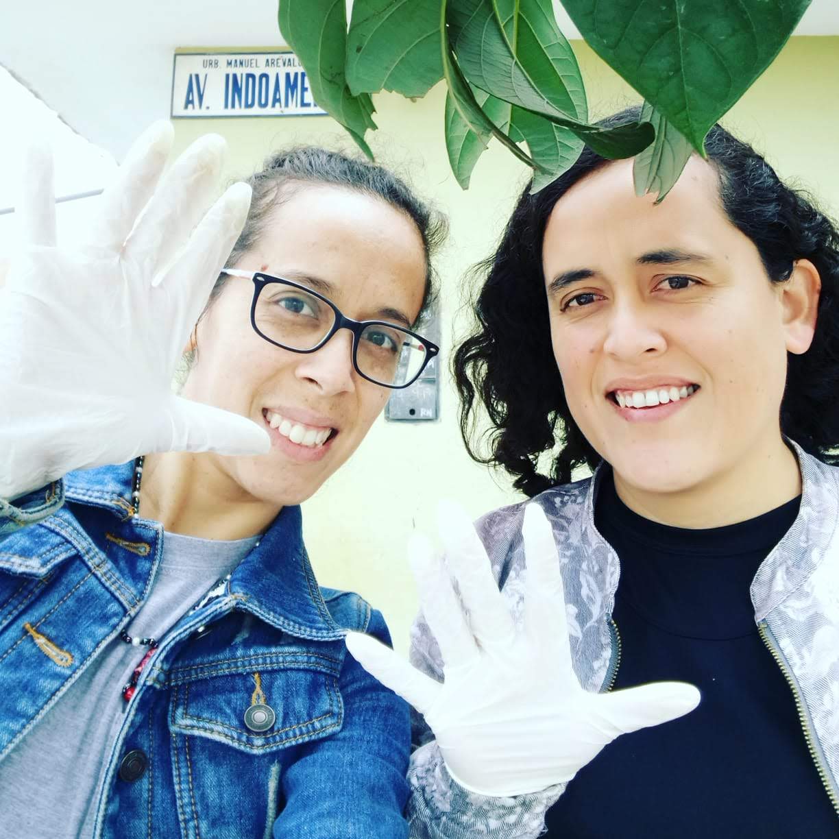 Hola soy Irma Davila